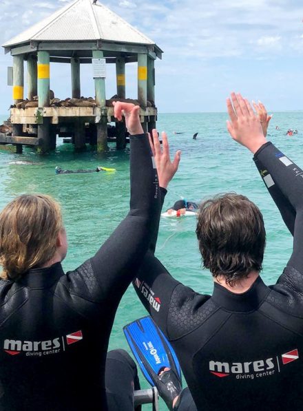 Scubabo Dive Queenscliff | Queenscliff Victoria Diving & Boat Tours