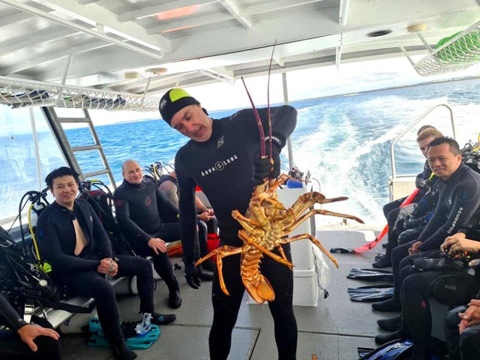 Scubabo Dive Queenscliff | Queenscliff Victoria Diving & Boat Tours