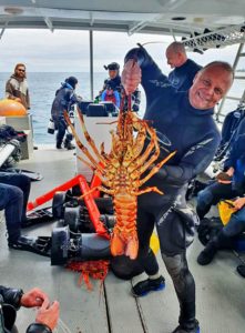 Scubabo Dive Queenscliff | Queenscliff Victoria Diving & Boat Tours