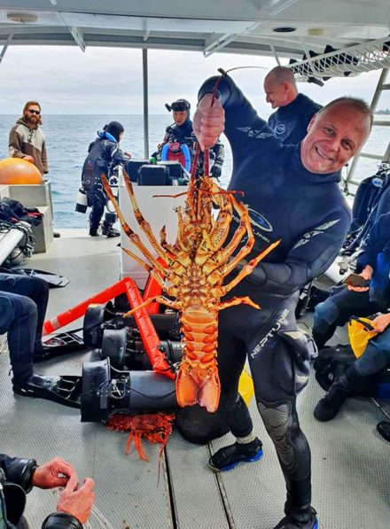 Scubabo Dive Queenscliff | Queenscliff Victoria Diving & Boat Tours