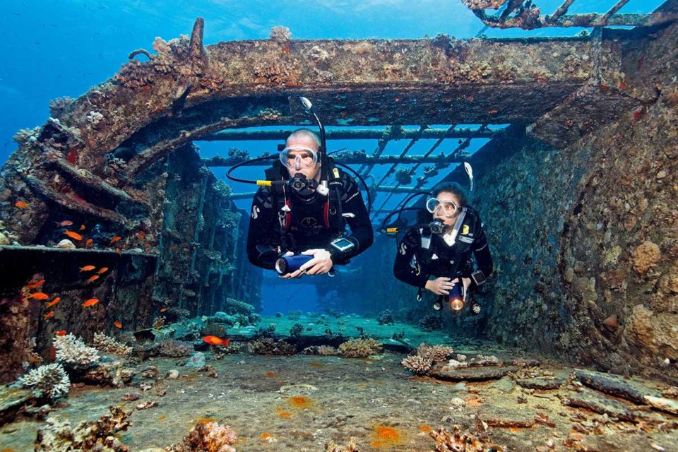 Scubabo Dive Queenscliff | Queenscliff Victoria Diving & Boat Tours