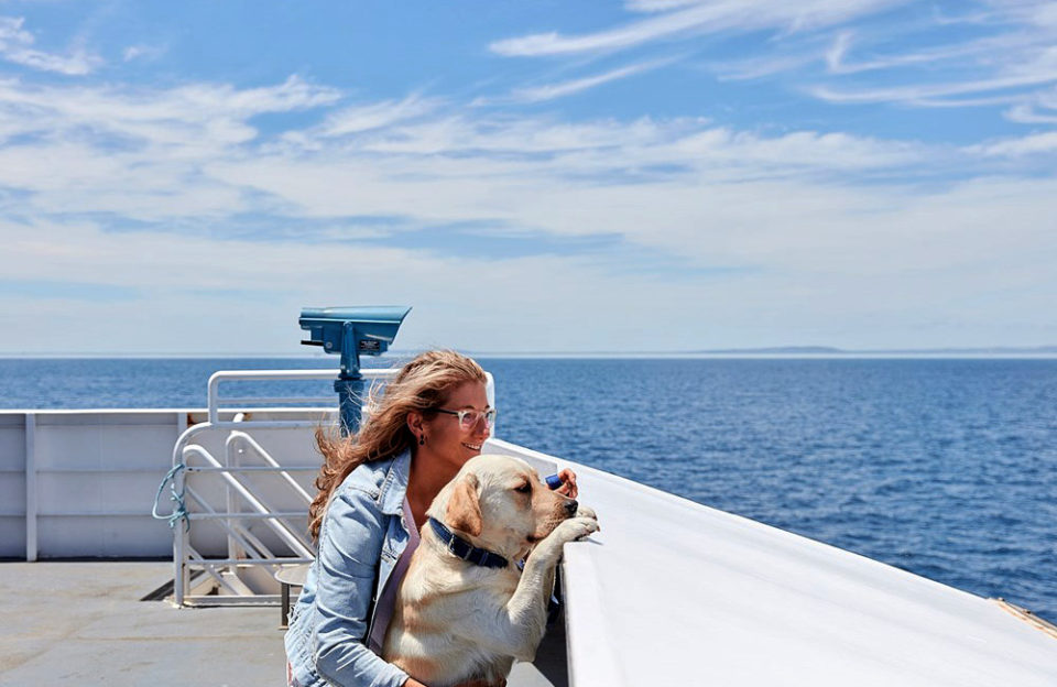 Searoad Ferries Queenscliff | Queenscliff Victoria Ferry Trips